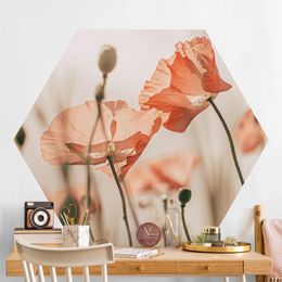 Bilderwelten Hexagon Tapete Blumen Motiv Wandtapete beige - Mohnbl&uuml;ten im Sommerwind - Mohn Wohnzimmer Schlafzimmer