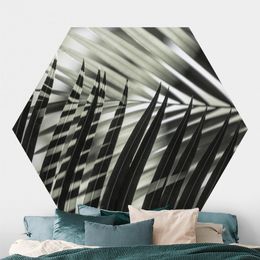 Bilderwelten Hexagon Tapete Natur Tropisch Wandtapete schwarz weiss - Schattenspiel auf Palmenwedel - Palme Wohnzimmer Schlafzimmer