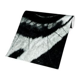 Bilderwelten Tapete - Fototapete Schwarz Wei&szlig; - Zebra Crossing - Wandtapete Schlafzimmer Wohnzimmer modern - auch kleisterfreiFototapete Zebra