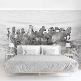 Bilderwelten Fototapete Strand Motiv Wandtapete schwarz weiss - Wei&szlig;e Pferde im Meer - Landschaft Wohnzimmer Schlafzimmer