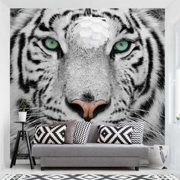 Bilderwelten Fototapete Tiere modern Wandtapete schwarz weiss - Wei&szlig;er Tiger - Tiger Wohnzimmer Schlafzimmer