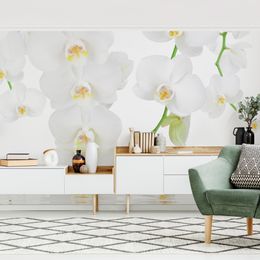 Bilderwelten Fototapete Blumen Motiv Wandtapete einzigartig - Wellness Orchidee - Wei&szlig;e Orchidee - Orchidee Wohnzimmer Schlafzimmer