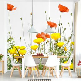 Bilderwelten Fototapete Blumen Motiv Wandtapete einzigartig - Wild Flowers - Blumenwiese Wohnzimmer Schlafzimmer