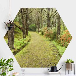Bilderwelten Hexagon Tapete Wald Motiv Wandtapete rot - Moosbewachsene Stra&szlig;e - B&auml;ume Wohnzimmer Schlafzimmer