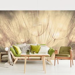 Bilderwelten Fototapete Blumen Motiv Wandtapete gelb - Pusteblumen Nahaufnahme in wohnlicher Sepia T&ouml;nung - Pusteblume Wohnzimmer Schlafzimmer