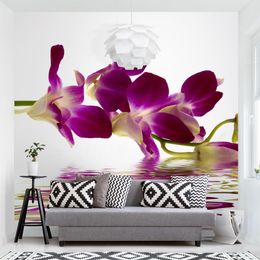 Bilderwelten Fototapete Pink Orchid Waters