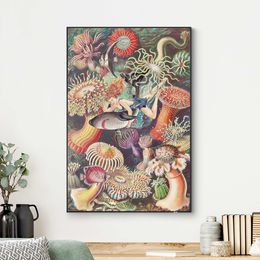 Wechselbild Nymphe mit Seeanemonen
