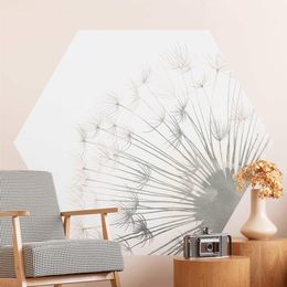 Bilderwelten Hexagon Fototapete Ein Hauch Pusteblume II