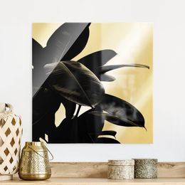 Bilderwelten Glasbild Tropisch schwarz weiss Glas Wandbild - Gummibaum Bl&auml;tter Schwarz Wei&szlig; - Deko Wohnzimmer Schlafzimmer