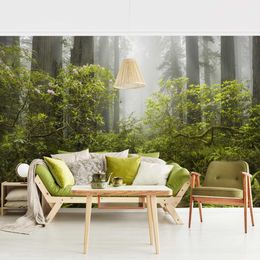 Bilderwelten Fototapete Wald Motiv Wandtapete gr&uuml;n - Nebliger Waldpfad - B&auml;ume Wohnzimmer Schlafzimmer