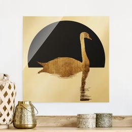 Bilderwelten Glasbild Natur modern gold Glas Wandbild - Schwan in Gold - Sonnenuntergang Wohnzimmer Schlafzimmer