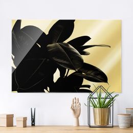 Bilderwelten Glasbild Tropisch schwarz weiss Glas Wandbild - Gummibaum Bl&auml;tter Schwarz Wei&szlig; - Deko Wohnzimmer Schlafzimmer