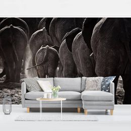 Bilderwelten Fototapete Tiere Motiv Wandtapete grau - Nach Hause gehen - Elefant Wohnzimmer Schlafzimmer