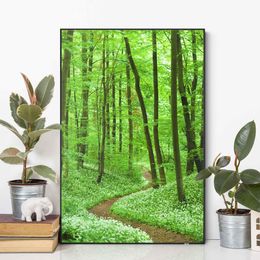 Wechselbild Romantischer Waldweg