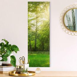 Bilderwelten Leinwandbild Spaziergang im Wald
