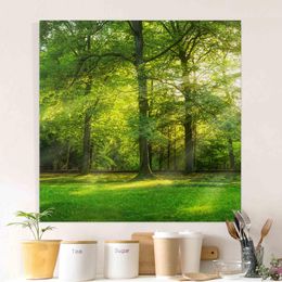 Bilderwelten Leinwandbild Wald Motiv Kunstdruck gr&uuml;n - Spaziergang im Wald - B&auml;ume XXL Wohnzimmer Schlafzimmer