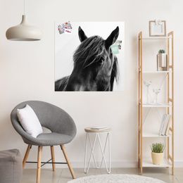 Bilderwelten Glasbild Tiere Motiv schwarz weiss Glas Wandbild - Neugieriges Pferd - Pferde Wohnzimmer Schlafzimmer