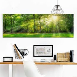 Bilderwelten Leinwandbild Spaziergang im Wald