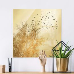 Bilderwelten Glasbild Wald modern gold Glas Wandbild - Vogelschwarm vor goldenem Baum - B&auml;ume Wohnzimmer Schlafzimmer