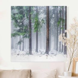 Bilderwelten Leinwandbild Wald Motiv Kunstdruck gr&uuml;n - Nadelb&auml;ume im Winter - B&auml;ume XXL Wohnzimmer Schlafzimmer