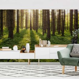 Bilderwelten Fototapete Wald Motiv Wandtapete gr&uuml;n - Sonnenstrahlen in gr&uuml;nem Wald - B&auml;ume Wohnzimmer Schlafzimmer