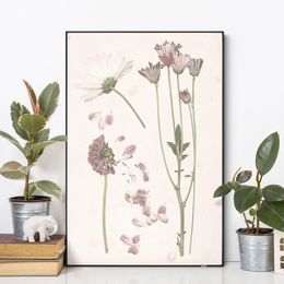 Wechselbild Herbarium in rosa II
