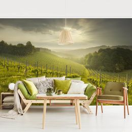 Bilderwelten Fototapete Wald Motiv Wandtapete gr&uuml;n - Sonnenstrahlen Weinberg - Himmel Wohnzimmer Schlafzimmer