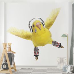 Bilderwelten Fototapete Tiere modern Wandtapete gr&uuml;n - Skatesittich - V&ouml;gel Kinderzimmer Baby M&auml;dchen Jungen
