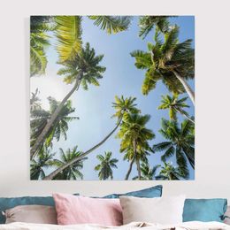 Bilderwelten Leinwandbild Palmen Himmel