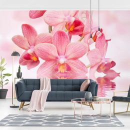 Bilderwelten Fototapete Blumen Motiv Wandtapete pink - Rosa Orchideen auf Wasser - Orchidee Wohnzimmer Schlafzimmer
