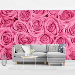 Bilderwelten Fototapete Rosa Rosen