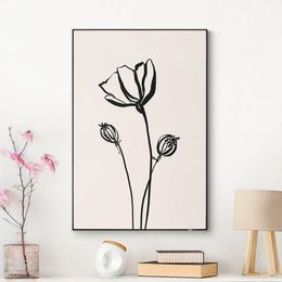 Wechselbild Mohn Illustration II