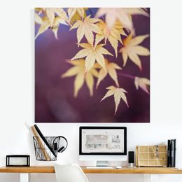 Bilderwelten Leinwandbild Stadt Motiv Kunstdruck violett - Herbstlicher Ahorn - Japan XXL Wohnzimmer Schlafzimmer