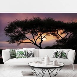 Bilderwelten Fototapete Wald modern Wandtapete einzigartig - Safari in Afrika - africa Wohnzimmer Schlafzimmer