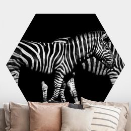 Bilderwelten Hexagon Tapete Tiere Motiv Wandtapete schwarz weiss - Zebra vor Schwarz - Zebra Wohnzimmer Schlafzimmer