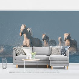 Bilderwelten Fototapete Tiere modern Wandtapete weiss - Schimmelherde - Pferde Wohnzimmer Schlafzimmer