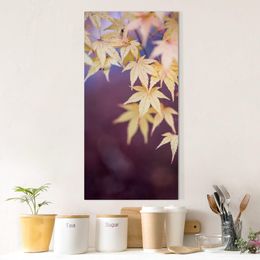 Bilderwelten Leinwandbild Herbstlicher Ahorn