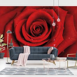Bilderwelten Fototapete Rote Rose mit Wassertropfen