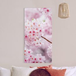 Bilderwelten Leinwandbild Japanische Kirschbl&uuml;ten
