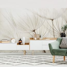 Bilderwelten Tapete - Fototapete Pusteblume - Blumentapete Sanfte Gr&auml;ser - Dandelion Wandtapete Wohnzimmer Vliestapete Pusteblumentapete Schlafzimmer