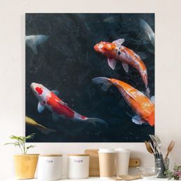 Bilderwelten Leinwandbild Tiere Motiv Kunstdruck schwarz - Kois im Teich - Asia XXL Wohnzimmer Schlafzimmer
