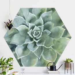 Bilderwelten Hexagon Fototapete Sukkulente Aquarell Dunkel