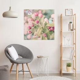 Bilderwelten Glasbild Blumen Motiv rosa Glas Wandbild - Apfelbl&uuml;te Bokeh rosa - Deko Wohnzimmer Schlafzimmer