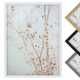 Bilderwelten Bild mit Rahmen Pastellknospen am Wildblumenzweig