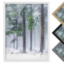 Bilderwelten Bild mit Rahmen Nadelb&auml;ume im Winter