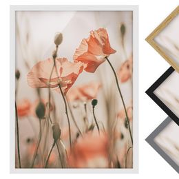 Bilderwelten Bild mit Rahmen Mohnbl&uuml;ten im Sommerwind
