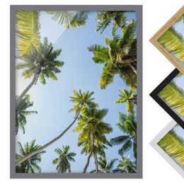 Bilderwelten Bild mit Rahmen Palmen Himmel