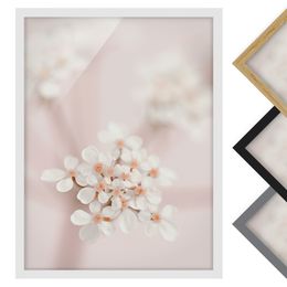 Bilderwelten Bild mit Rahmen Blumen beige Motiv inkl. Rahmung - Minibl&uuml;ten im Rosanen Licht - Kirschbl&uuml;te Wohnzimmer Schlafzimmer