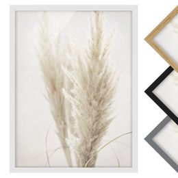 Bilderwelten Bild mit Rahmen Flauschiges Pampasgras