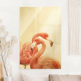 Bilderwelten Glasbild Tiere Motiv pink Glas Wandbild - Zwei Flamingos - V&ouml;gel Wohnzimmer Schlafzimmer